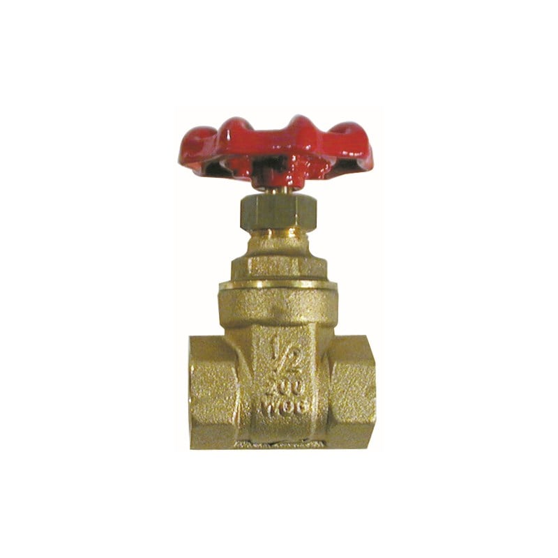 Gate Valve 2 Inch - City Irrigation Ltd
